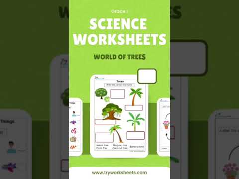 Free Science worksheets from tryworksheets.com #kids #worksheets #science