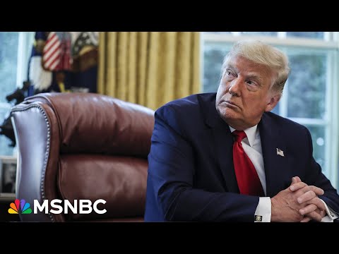Dereliction of duty: Constitution ‘is pretty clear’ that Trump violated his oath