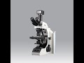 Dewinter Optical Inc - Manufacturer of Life Science Microscope from New Delhi