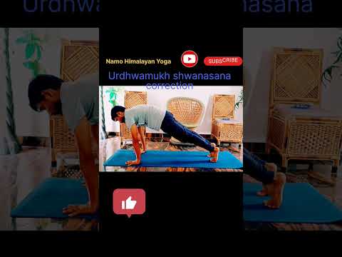 How to correct your posture in Urdhwamukh shwanasana | Upward facing Dog Pose #yoga #ashtangavinyasa