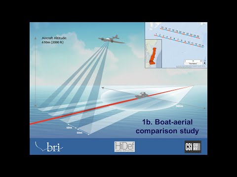 WREN Webinar #5: Wildlife Monitoring and Wind Energy