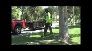 Working At Ability Counts Media: Company Overview and Culture - Zippia