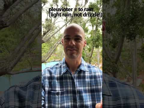 French vocabulary: pleuvioter : to rain (light rain)