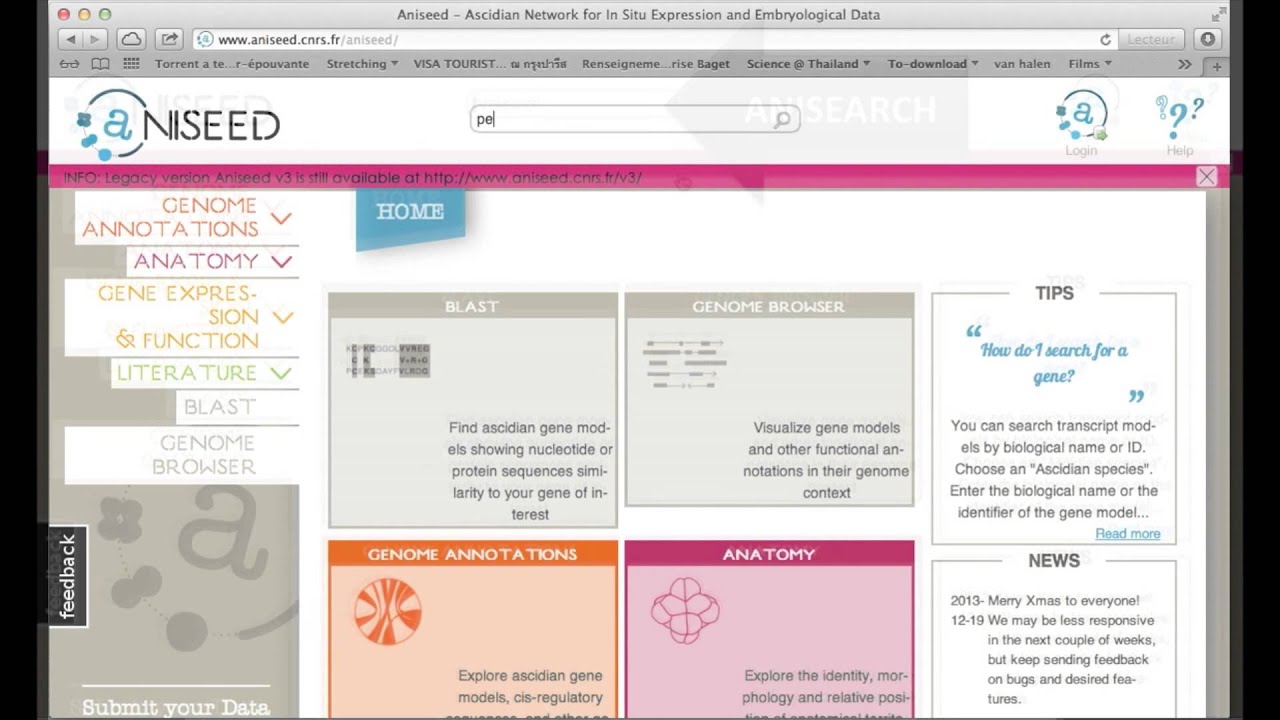 ANISEED Tuto - How to use Anisearch