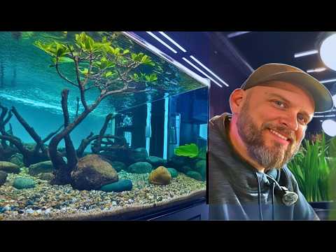 I Planted Trees in My Aquarium