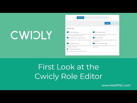 First Look at the Cwicly Role Editor