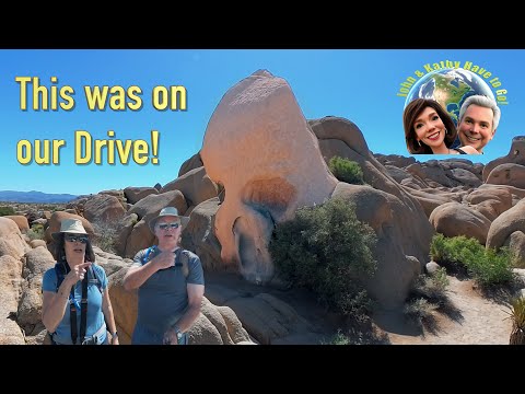 Joshua Tree NP in 4 Hours - Ultimate Drive-Through Tour from LA to Arizona