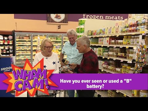Is there a size "B" battery? | Wham Cam