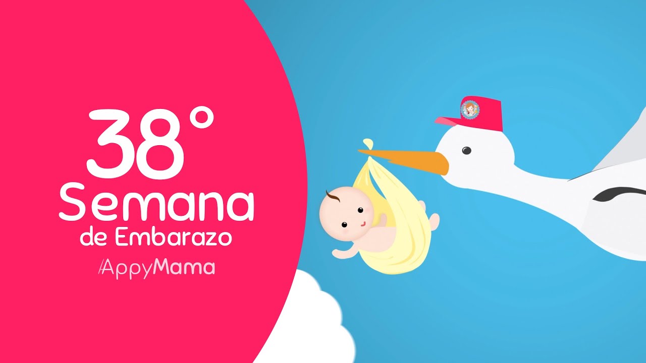 Semana 38 de #Embarazo | Dad espacio a la fantasía!