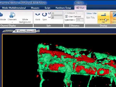 MetaMorph NX 4D Viewer