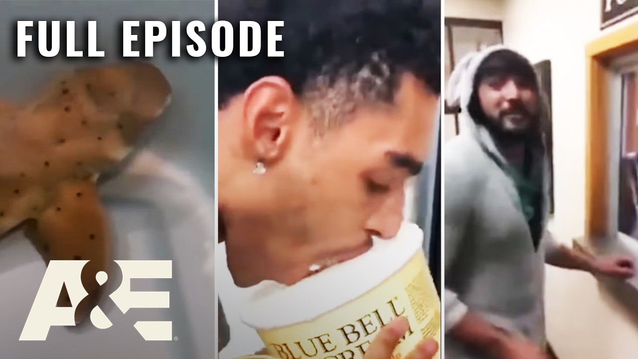 Shark Thieves and a Drunk Buggy Ride (S1, E3) | My Strange Arrest | Full Episode