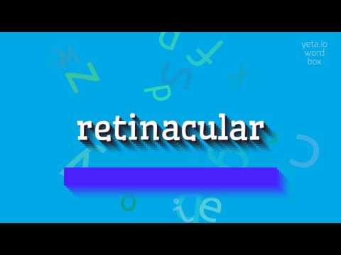 How to say "retinacular"! (High Quality Voices)