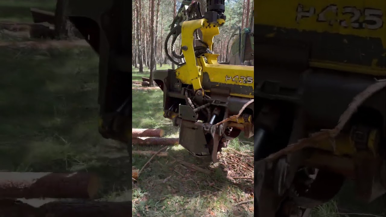 Harvester 1270G in Action: Smart Forestry Tech Slicing with Surgical Precision #johndeere #forest