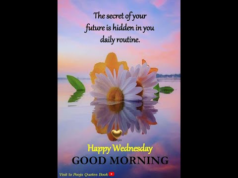 WEDNESDAY QUOTES /GOOD MORNING IMAGES /WHATSAPP STATUS/WHATSAPP DP PHOTOS/BEAUTIFUL IMAGES
