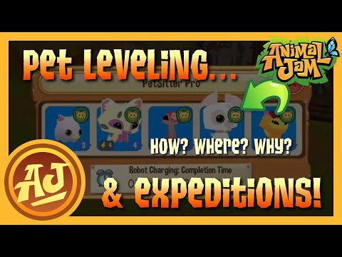 How to Level Pets & Send Them on Expeditions | Animal Jam Tutorial