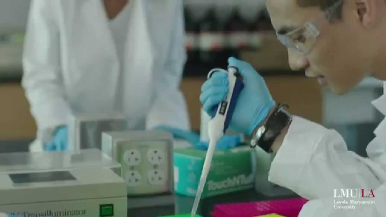 Introducing the Life Sciences Building