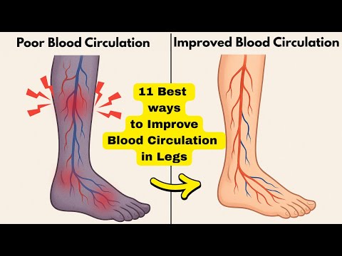 Seniors Over 60: 11 BEST Ways to Improve Blood Circulation in Legs and Feet | Senior Health