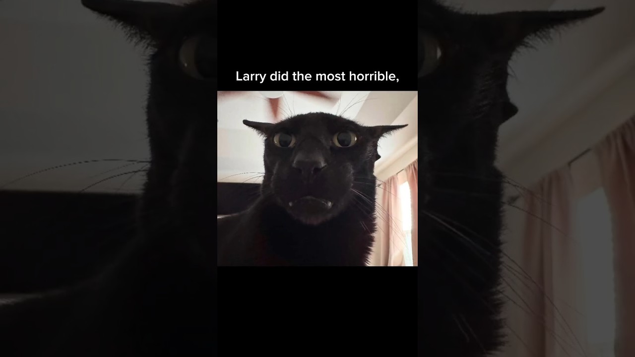 Scary Larry 😈😈... #trending #funny