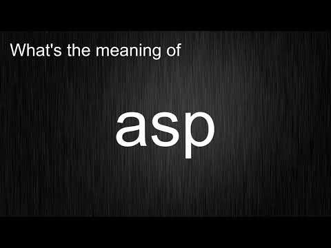 What's the meaning of "asp", How to pronounce asp?