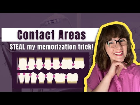 Learn the Contact Areas of all the Teeth | Use This Chart and Trick to Help You Memorize Them FASTER