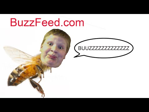 BUZZFEED QUIZ!