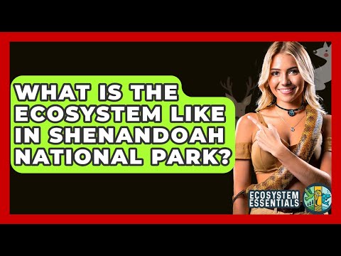 What Is The Ecosystem Like In Shenandoah National Park? - Ecosystem Essentials