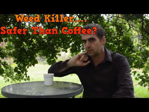 Is Glyphosate Safer Than Coffee?