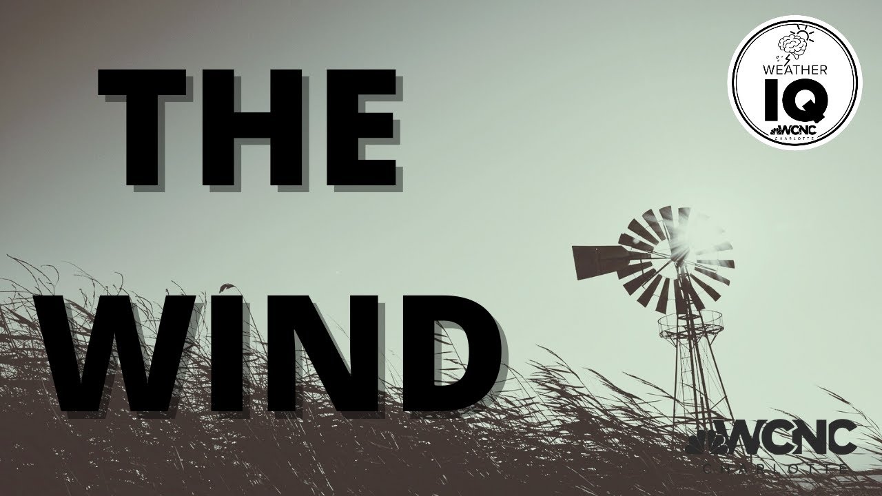 Weather IQ - The Wind