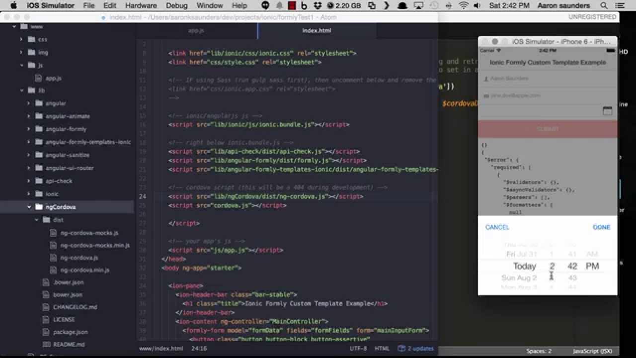 Ionic Framework Custom Formly Template using DatePicker