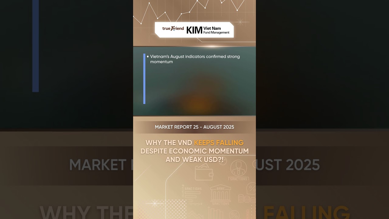 MARKET REPORT 25 - AUGUST 2025 | VND Keeps Falling Despite Economic Growth