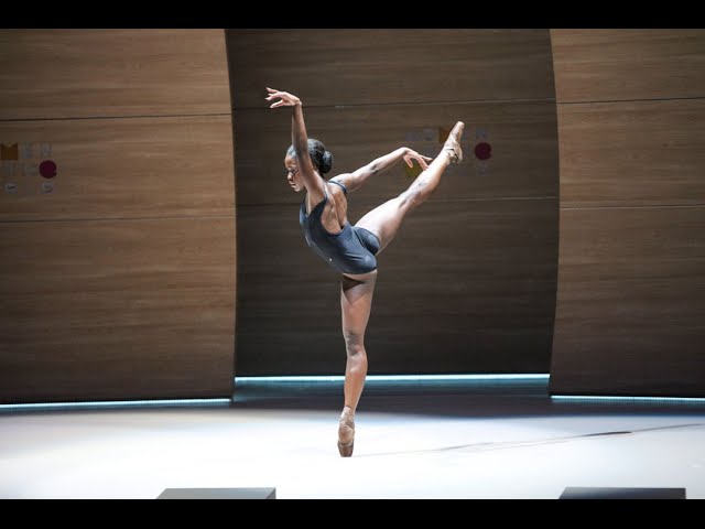 Home - Leotard Ballet