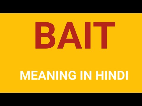 bait meaning in hindi || bait ka matlab kya hota hai ||