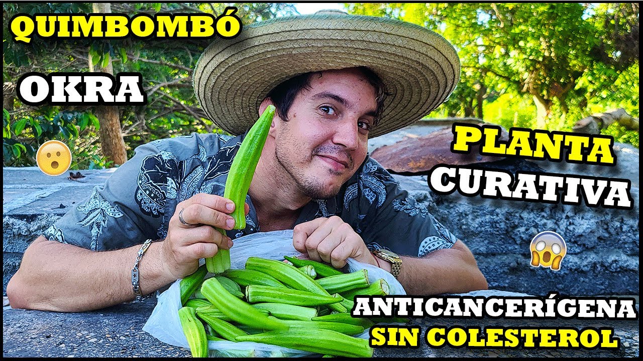 ¿Qué es el Quimbombo, cómo se come? – LIB ASK