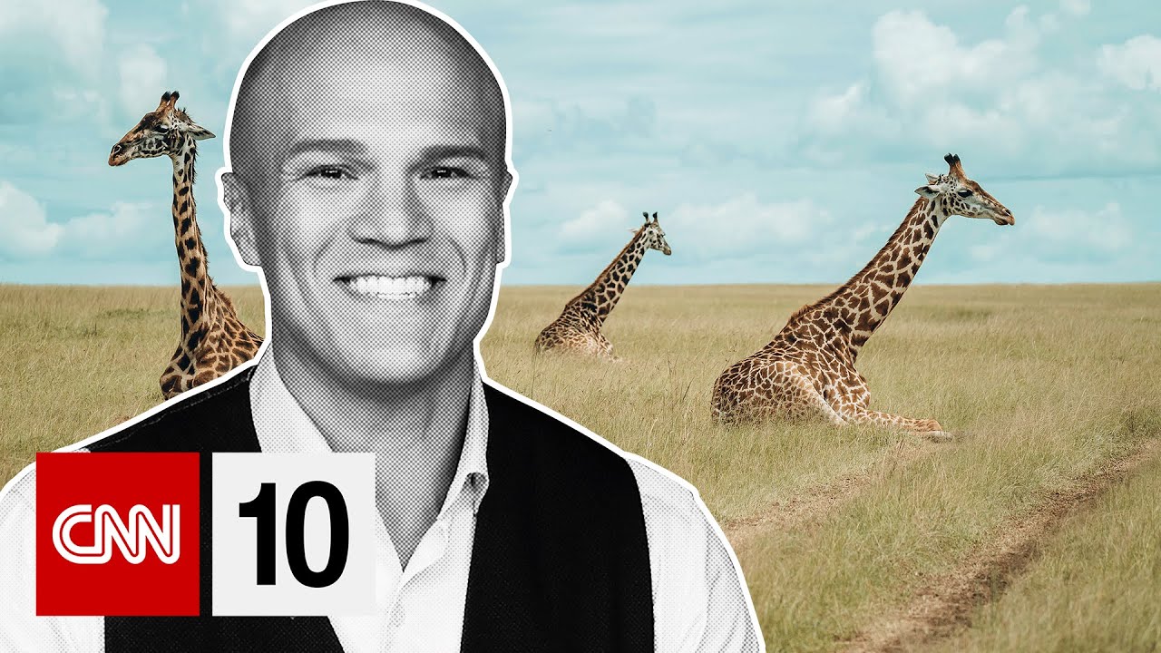 The Decline of Giraffes: Are They Facing Extinction? | Galaxy.ai