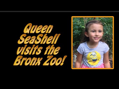 Queen SeaShell goes to the Bronx Zoo | Queen SeaShell