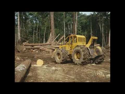 Shrinking Habitat