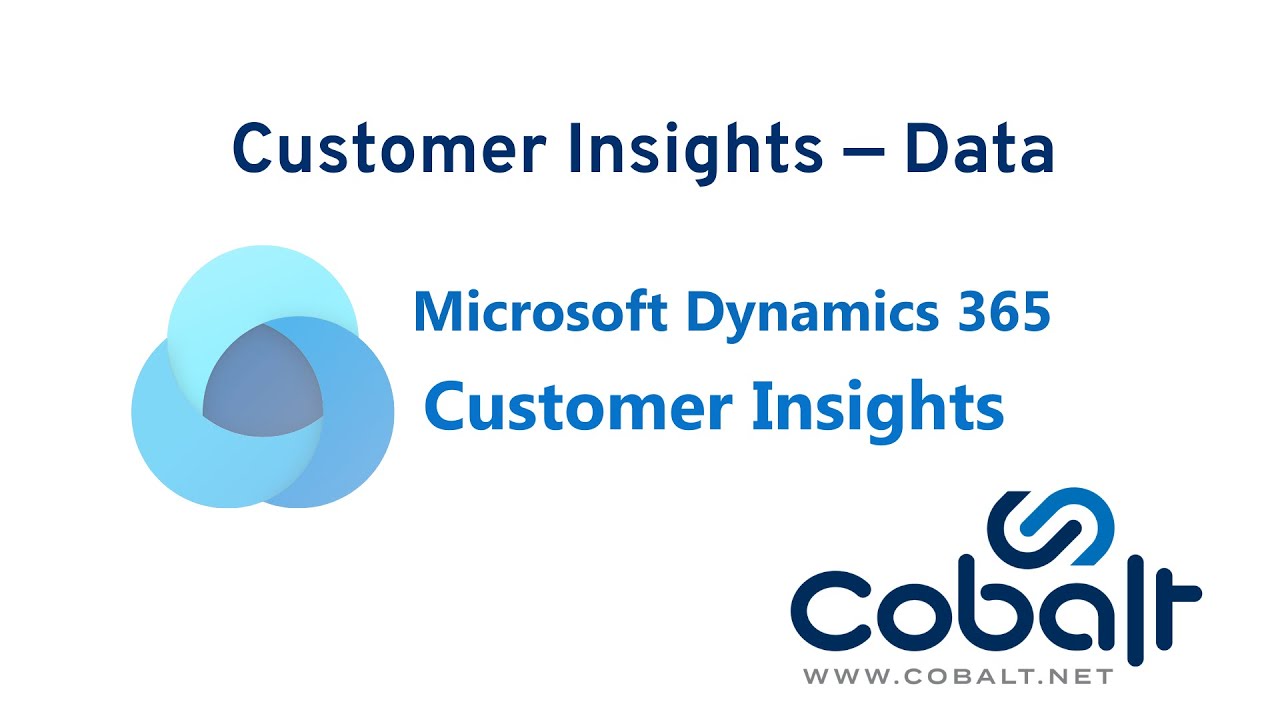 Dynamics 365 Customer Insights Data Overview