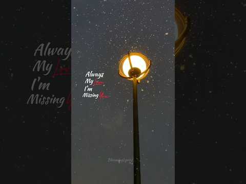 Tamally Ma'ak - Amr Diab | Tamally Maak English Lyrics #trending #fyp #shorts #amrdiab
