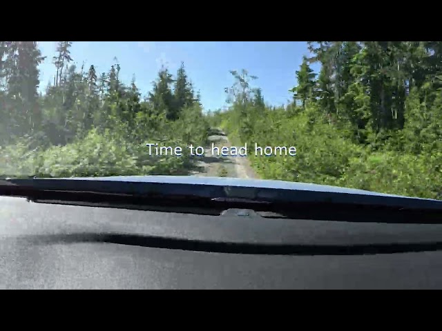 10 Frame Screen Bottom Board With Bottom Tray & Pollen Trap – Apimaye USA