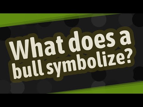 What does a bull symbolize?