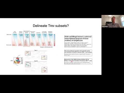 [Justin Milner] Heterogenous Populations of Tissue Resident CD8 T Cells Are Generated in Response