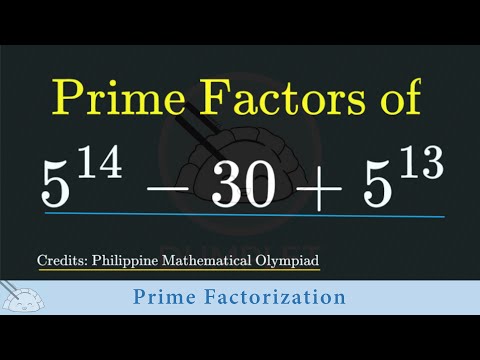 [PMO] Prime Factors of 5^14 - 30 + 5^13 || Elementary Math / High School Math