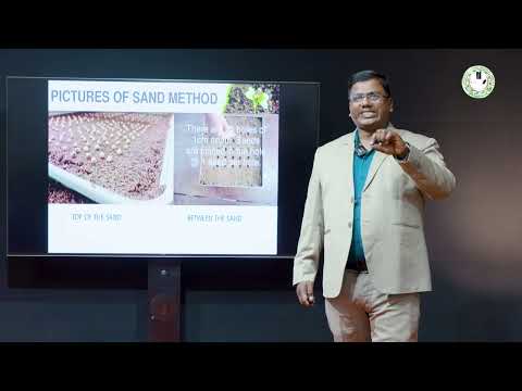 Seed Germination Testing Methods