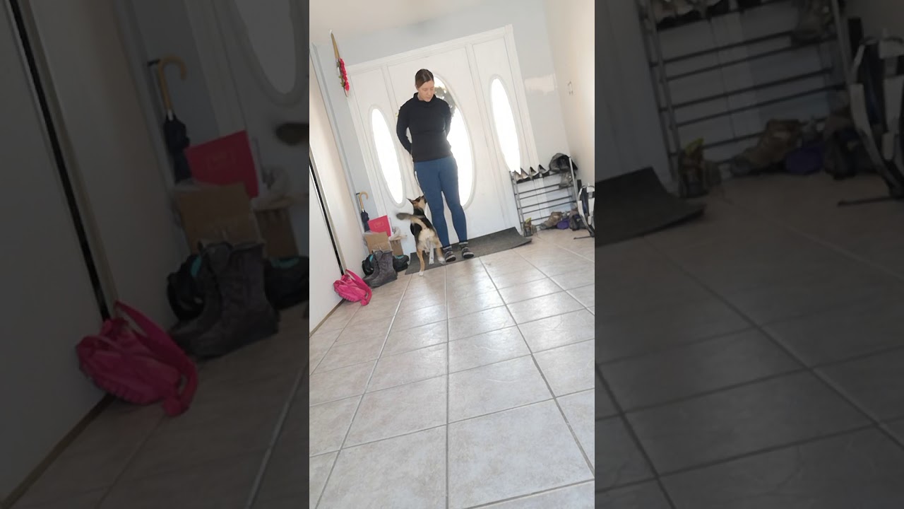 Heel - hands behind back (right side)