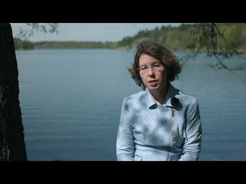 Are the laws of nature beautiful? Book Trailer "Lost in Math"