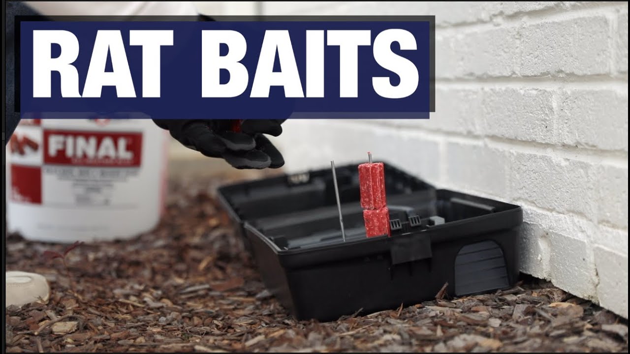 Different Types of Rat Baits