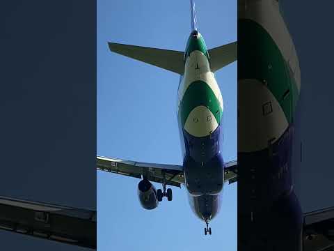 Planespotting at DCA Ronald Reagan National Airport (Washington D.C.) 2024