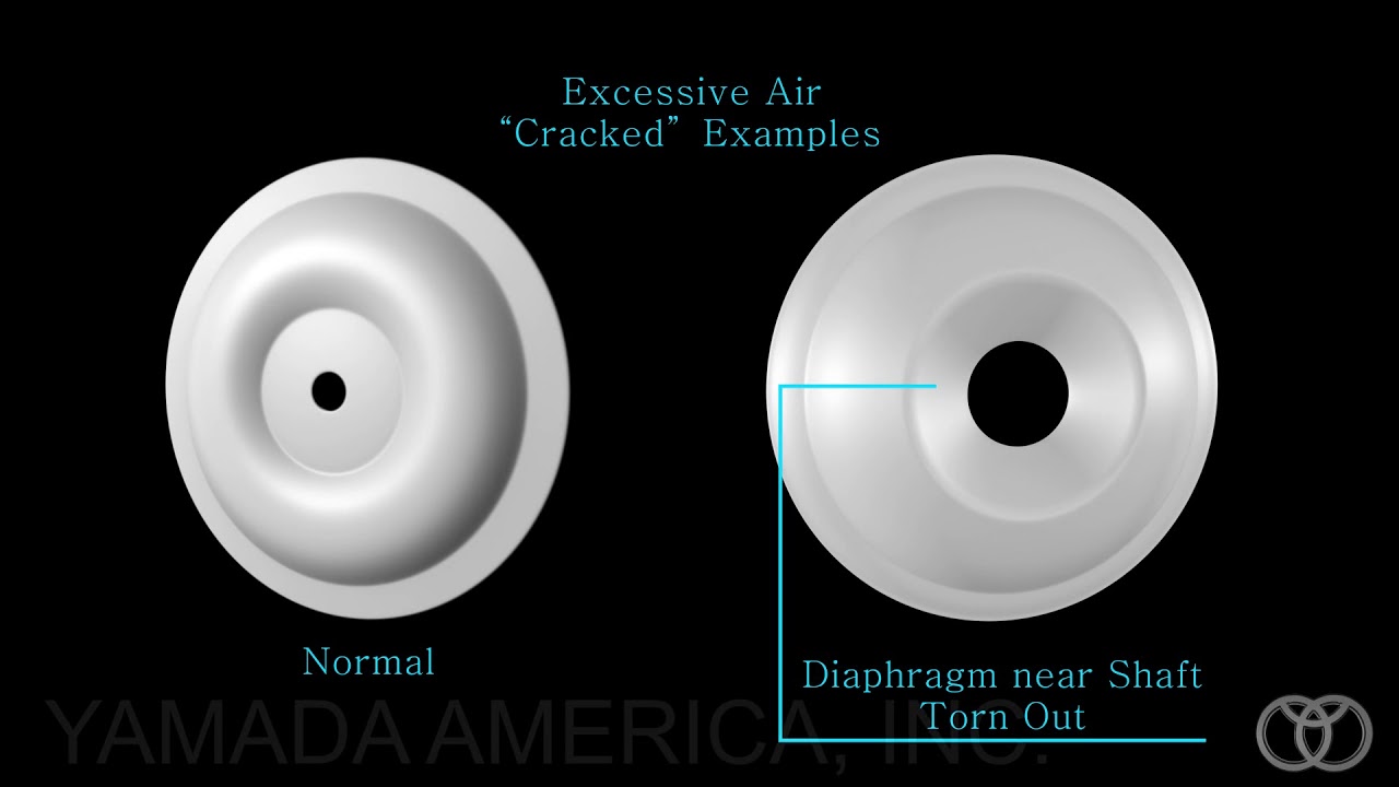 Yamada® Understanding Diaphragm Failures