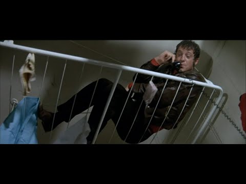 Le Cerveau film 1969 Jean-Paul Belmondo David Niven panthère inondation  Pompon le chat  Decke Dach