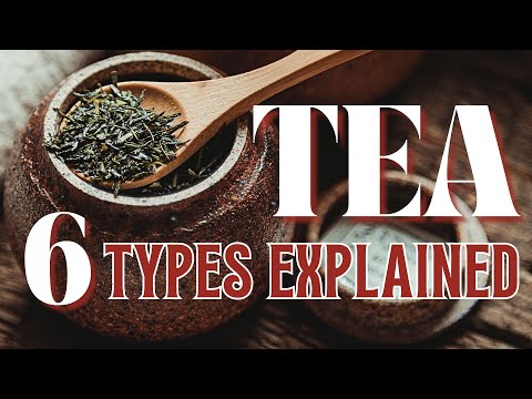 Different between types of TEA | How is tea Made, Processing, History, 6 Types of tea explained